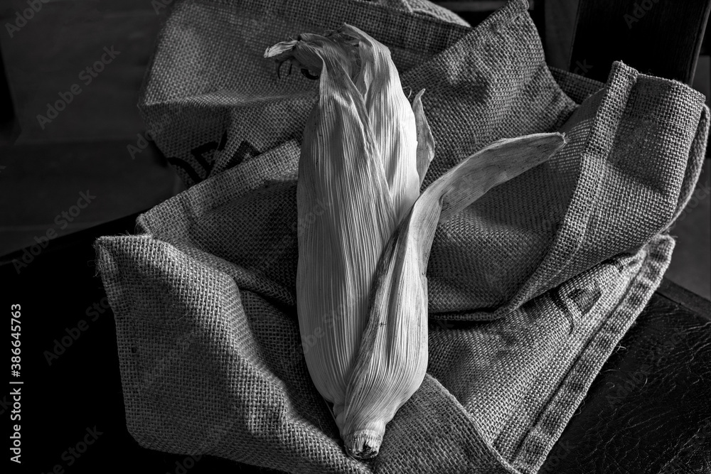 Corn on the cob, stages of opening Stock Photo | Adobe Stock