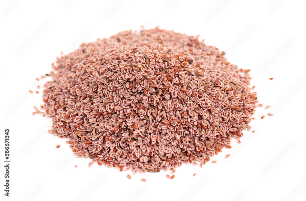 Plantago ovata seeds, isolated on white background. Plantain, indian ...