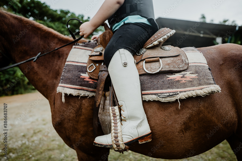 Horse rider.Back view Kids learn to ride a horse.Happy asian kid girl ...
