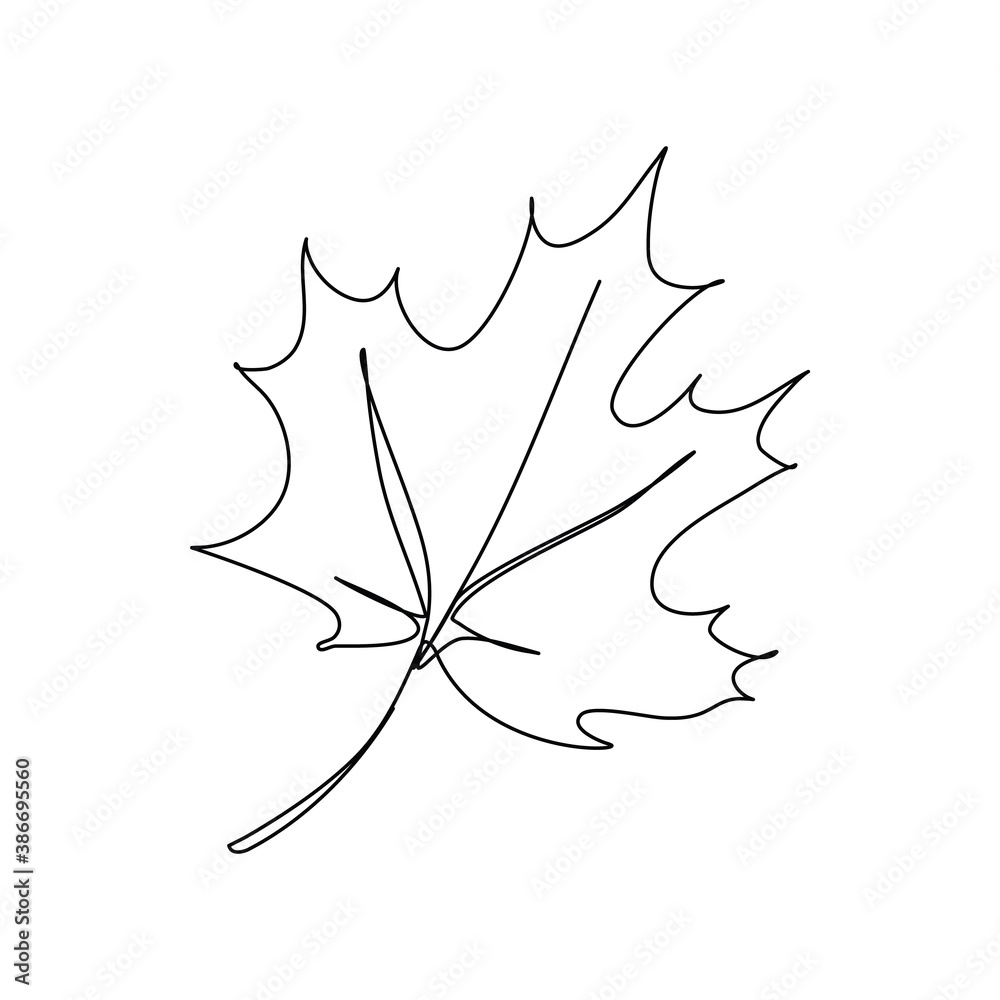 Maple leaf in an elegant continuous line art style isolated on white ...