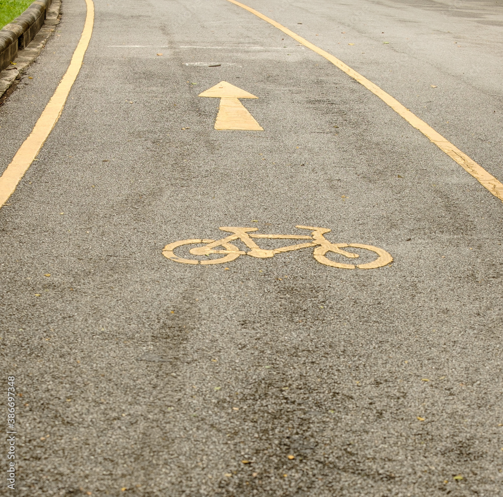 Bike lanes and yellow bike symbol and arrow direction in park, Bike ...