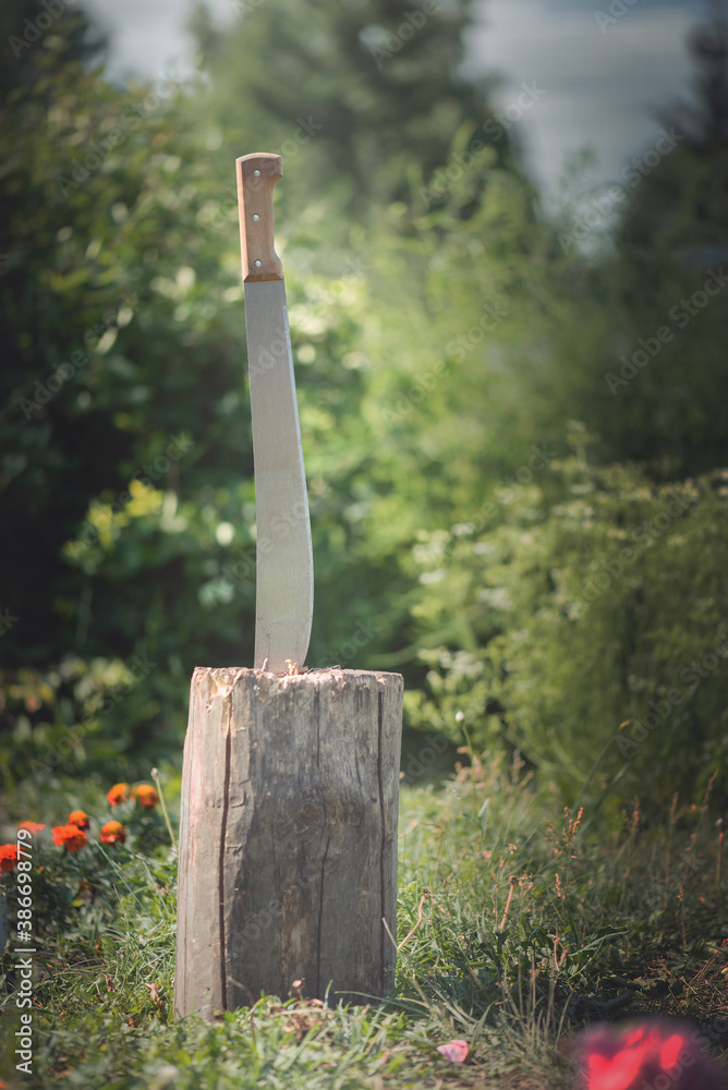 Sharp machete in a wooden tree stump background. Stock Photo | Adobe Stock