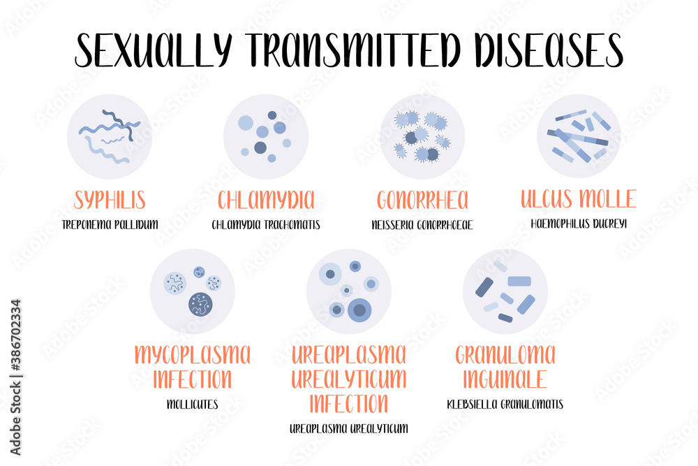 Sexually Transmitted Diseases Bacterial Infection Syphilis Gonorrhea