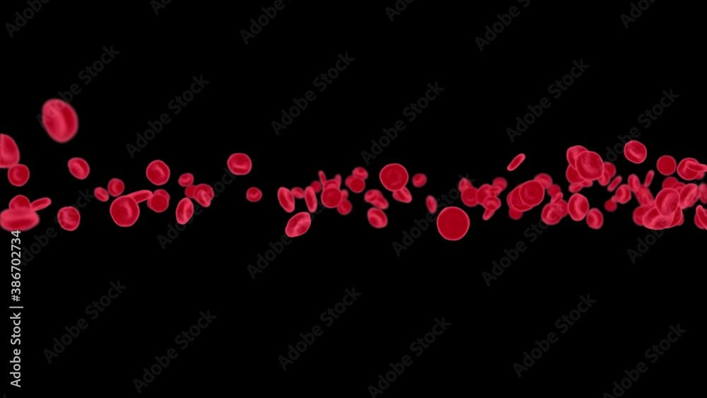 3D 4k Loop animation hemoblogin cells flowing through the blood stream ...