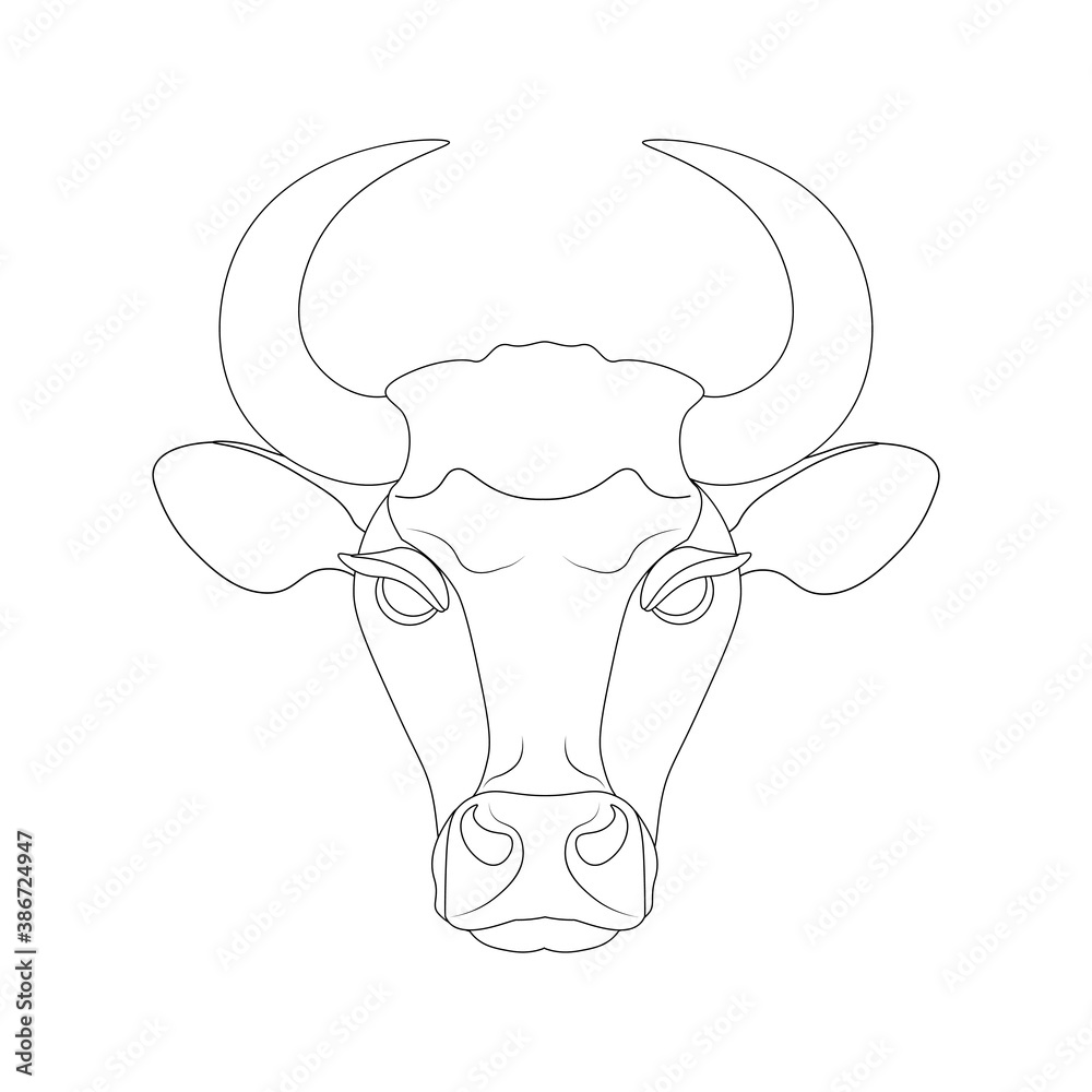 A bull, formidable with big horns. Graphic vector drawing. Coloring ...