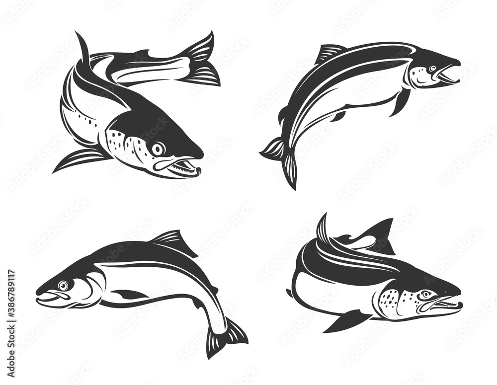 Salmon fish vector icons, sea saltwater humpback or freshwater river ...
