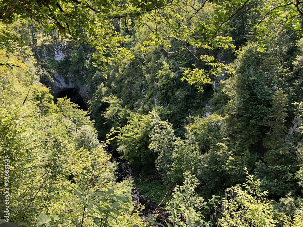 Weaver Cave, Tkalca jama or Tkalca cave (Tkalča jama), Cerknica ...