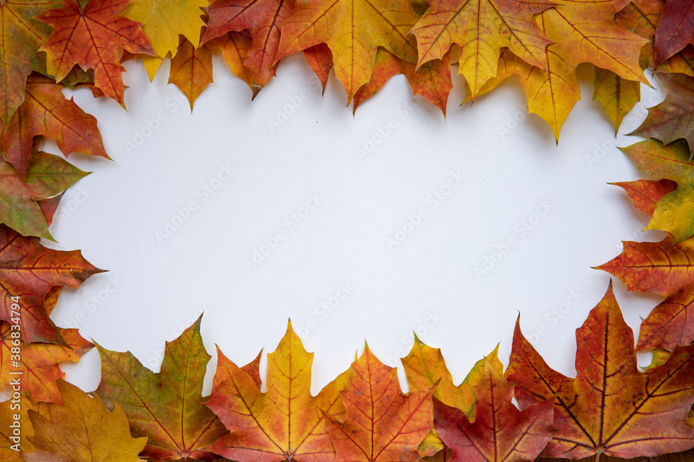 Fotka „Autumn leaves border. Bright and colourful platane leaves ...