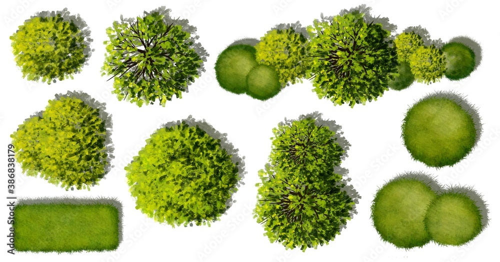 Collection of abstract watercolor green tree top view isolated on white ...