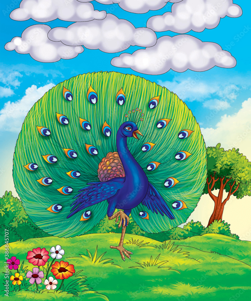 Dancing Peacock In Rainy Season
