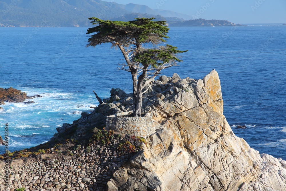 MONTEREY, CALIFORNIA - APRIL 7, 2014: Lone Cypress tree view along ...