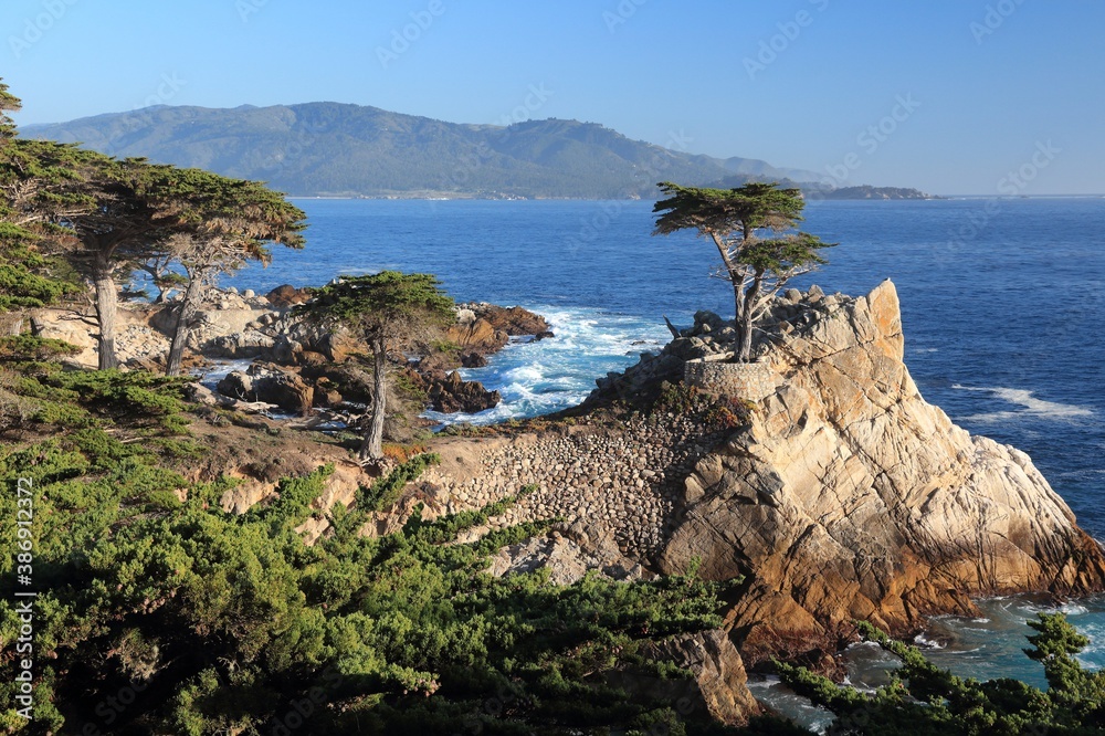 MONTEREY, CALIFORNIA - APRIL 7, 2014: Lone Cypress tree view along ...