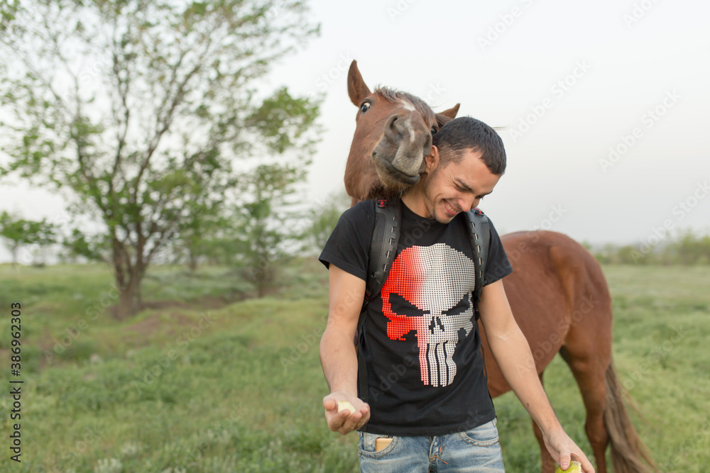 Guy with a horse in a green field. Communication with animals Stock ...