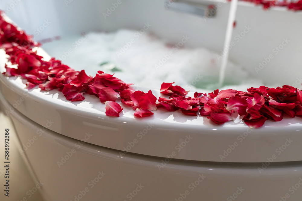 vintage style in natural light and shadow of blur red roses and red ...
