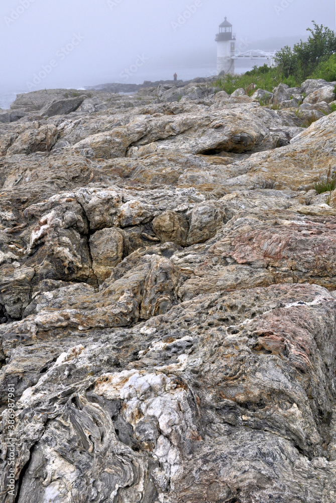 Example of coastal Maine geology. Broad expanse of exposed bedrock ...