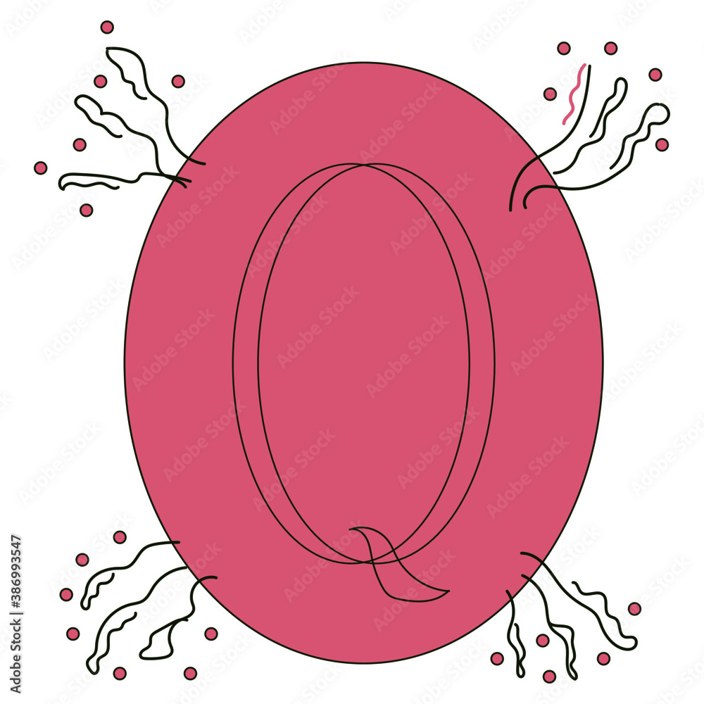 vector graphics english alphabet, alphabet english letters, vector ...