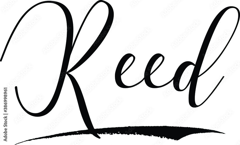 Reed -Male Name Cursive Calligraphy on White Background Stock Vector ...