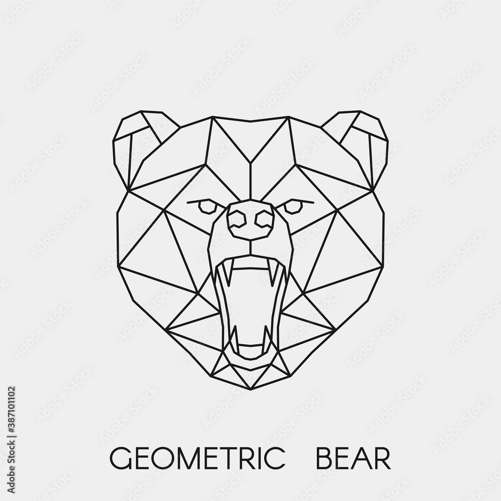 Geometric Bear Face