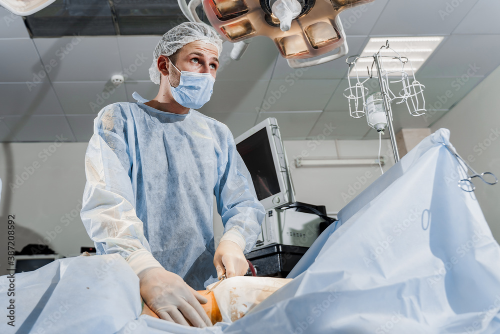 Surgeon removes fat in the gluteal region. Abdominoplasty - plastic ...