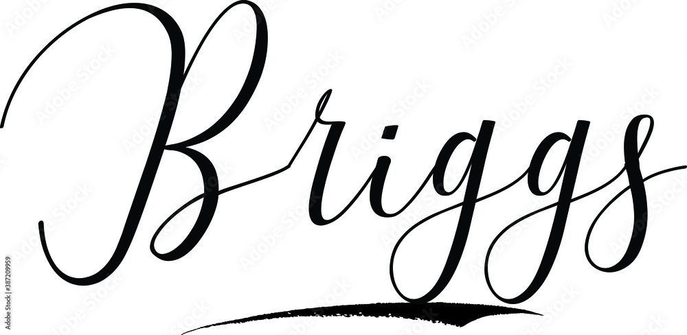 Briggs -Male Name Cursive Calligraphy on White Background Stock Vector ...