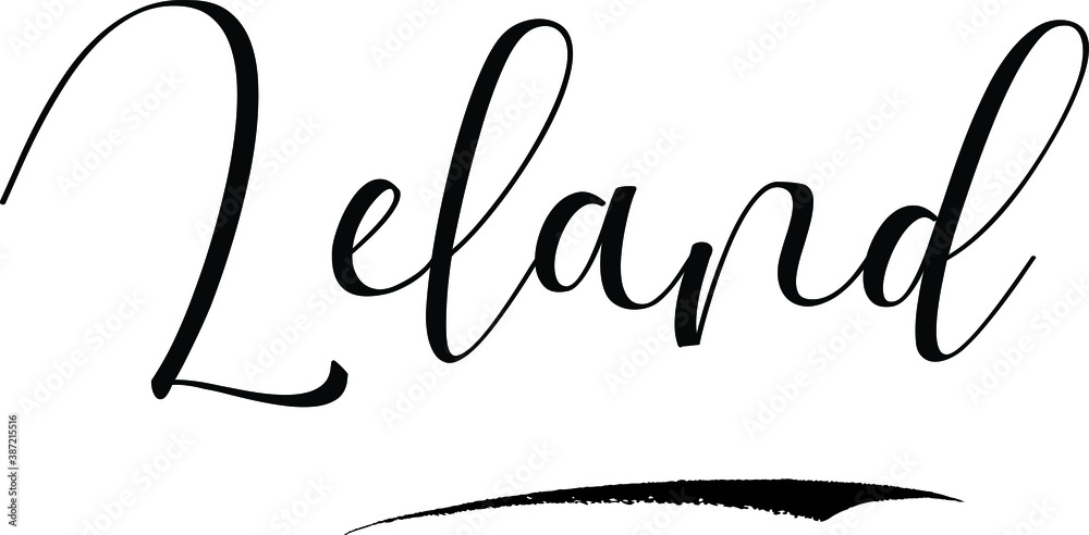 Leland-Male Name Cursive Calligraphy on White Background Stock Vector ...