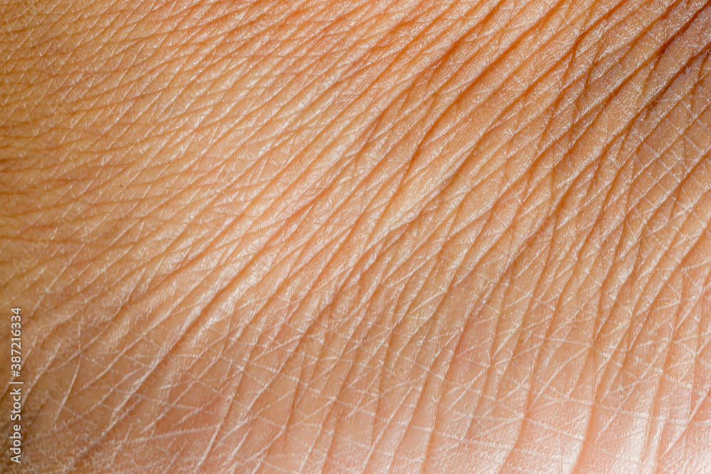 Pattern of human dark skin with cells and lines texture Stock Photo ...