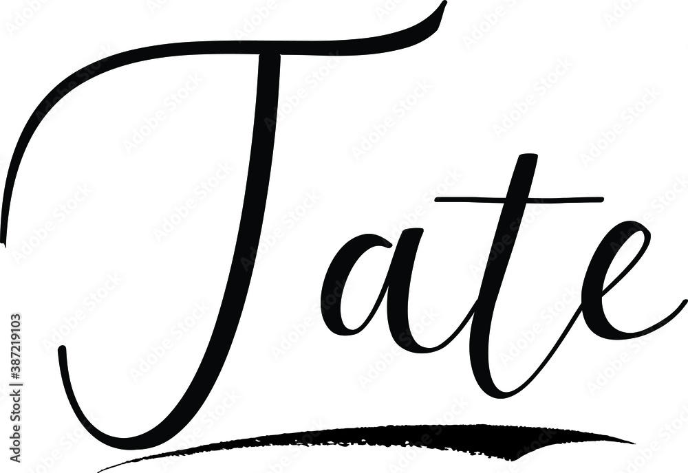 Tate -Male Name Cursive Calligraphy on White Background Stock Vector ...