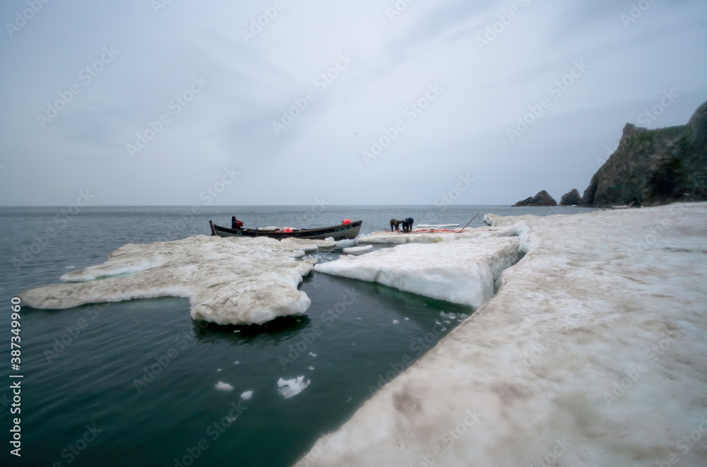Foto de Arctic sea hunters butcher seals on ice in the Bering Strait ...
