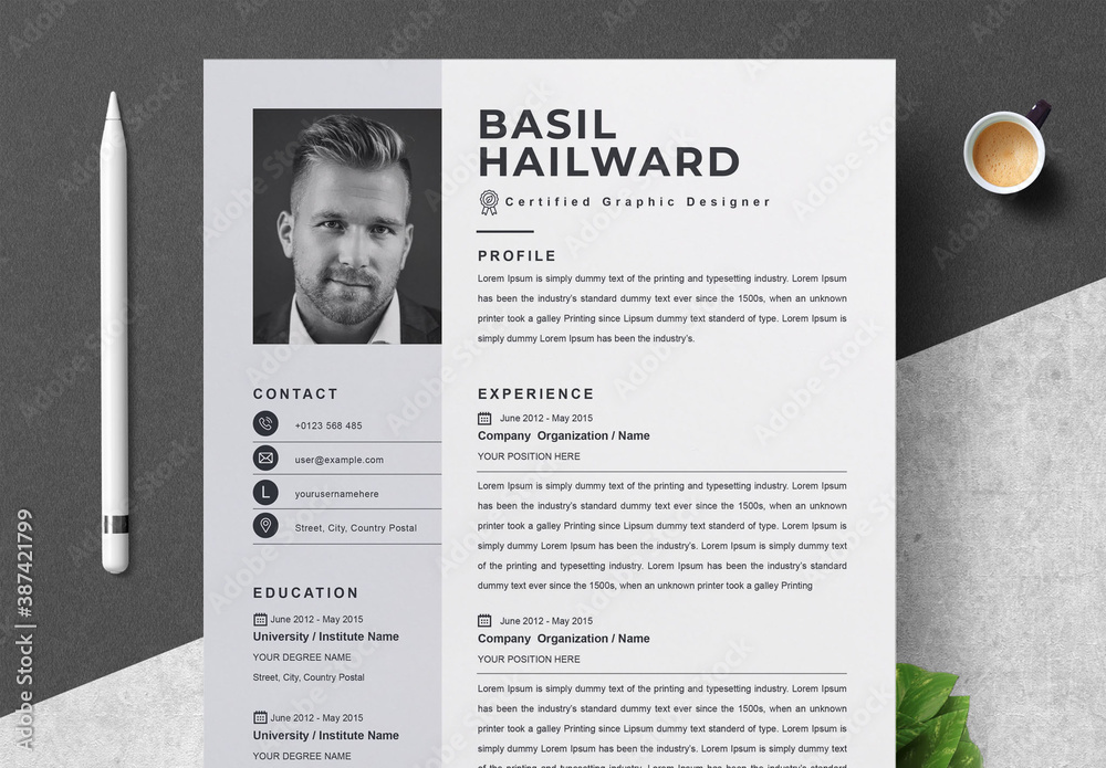 Professional Resume Layout Stock Template | Adobe Stock