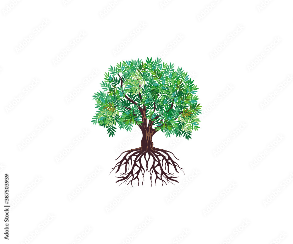 tree and roots vector, tree of life illustration with colorful Stock ...