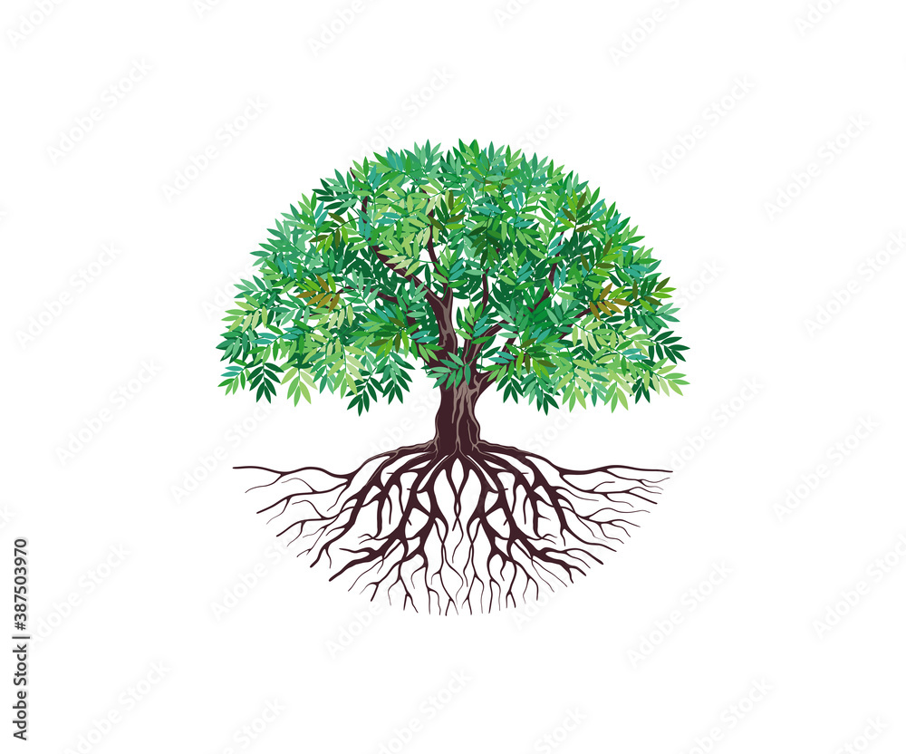 Poster Tree logo design with circular shape, tree illustration – Wall ...