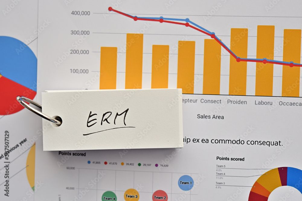 The words "ERM" written in a word book with dummy graphs. Close-up. It ...