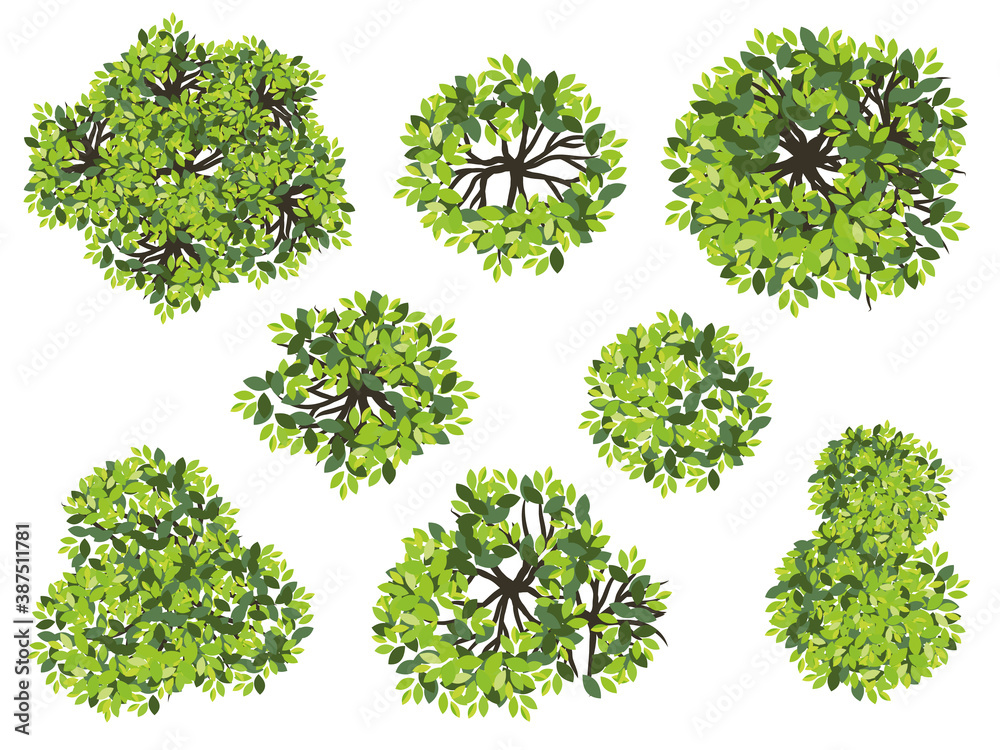 Collection of abstract green tree top view isolated on white background ...