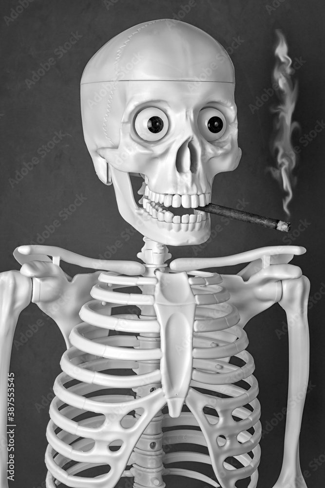 Artificial human skeleton with a cigar in his mouth. The concept of ...