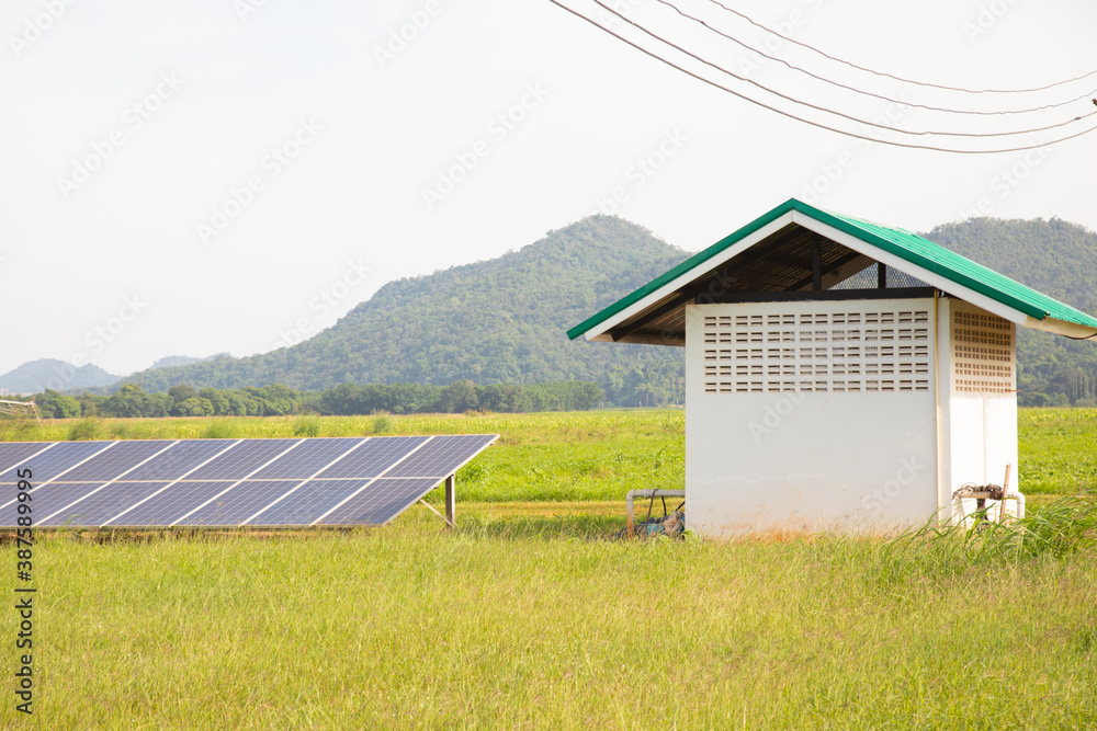 Solar cell panel installed in remote area for generating electricity ...