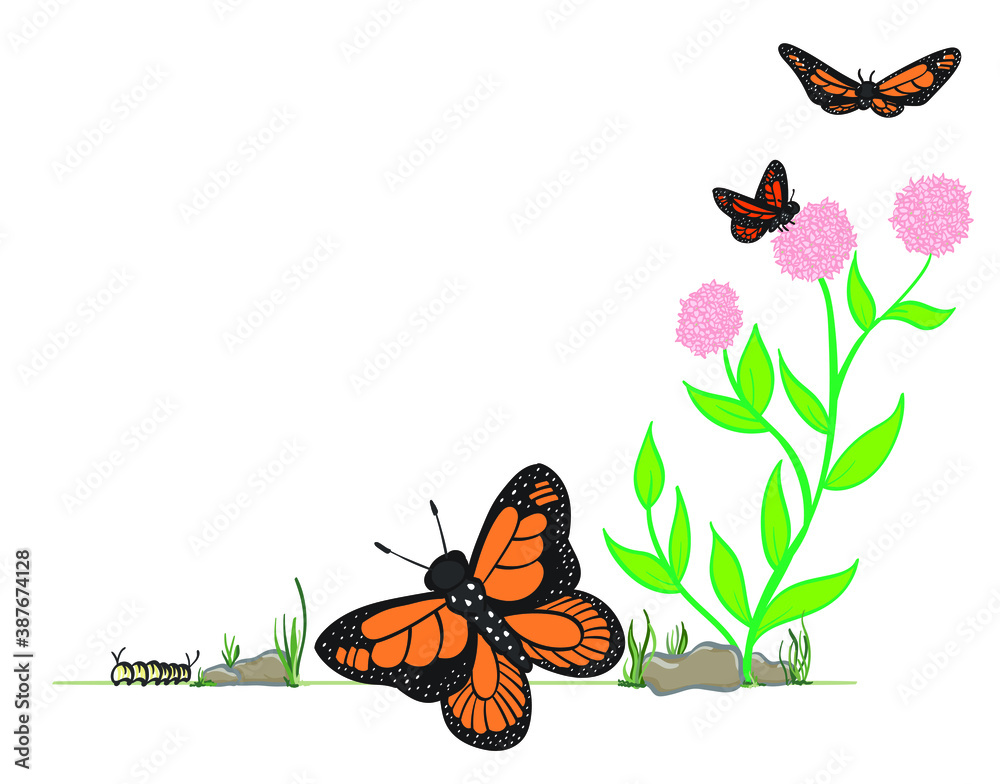 Monarch Butterflies on Milkweed Bottom Corner Frame Border Stock Vector ...