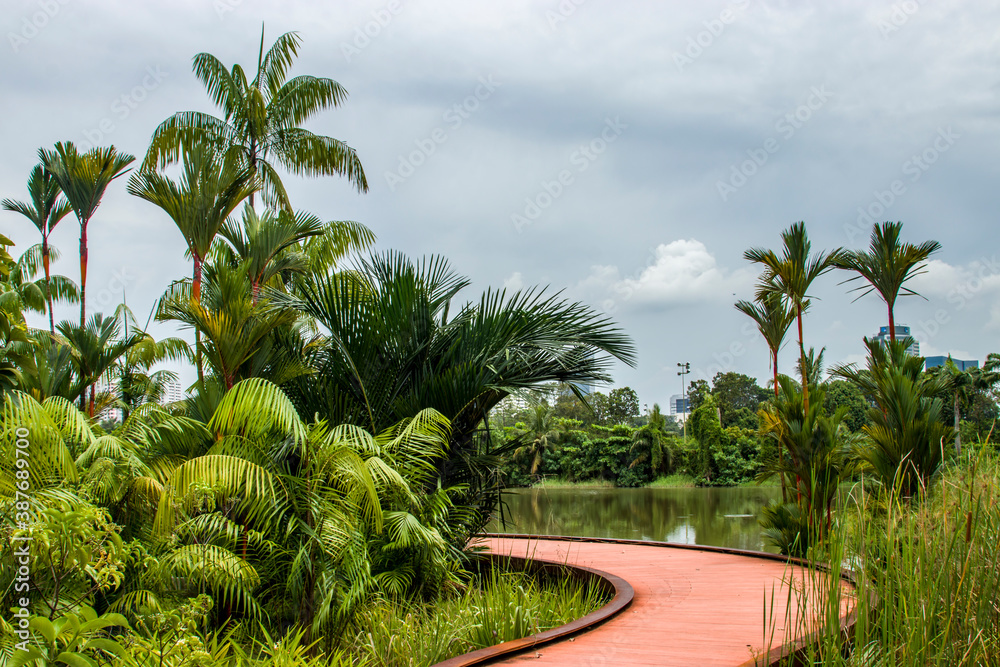 Singapore Oct 23rd 2020: Rasau Walk in Jurong Lake Gardens. A ...