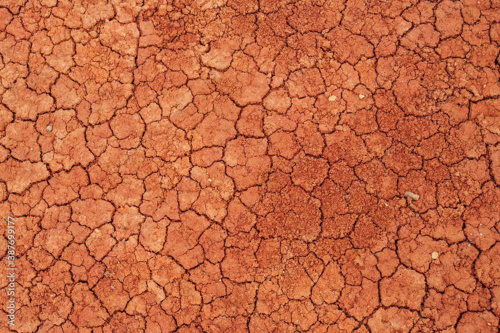 Barren Land Texture