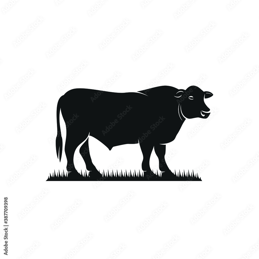black angus cattle standing on grass vector Stock Vector | Adobe Stock