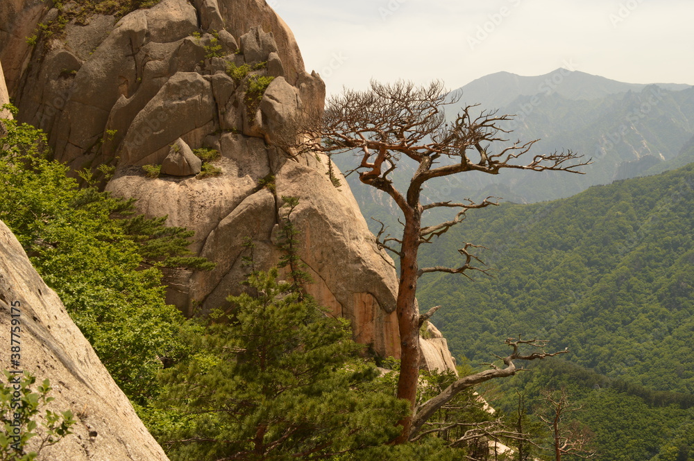 Climbing Seoraksan mountain in the Taebaek mountain range in the ...