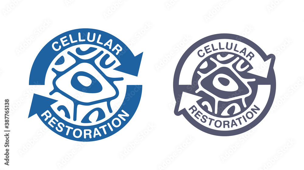 Cellular Restoration formula stamp - epidermis structure restore - anti ...