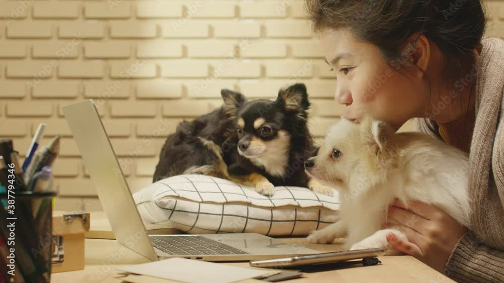 working at home asian female woman working with hand use laptop while ...