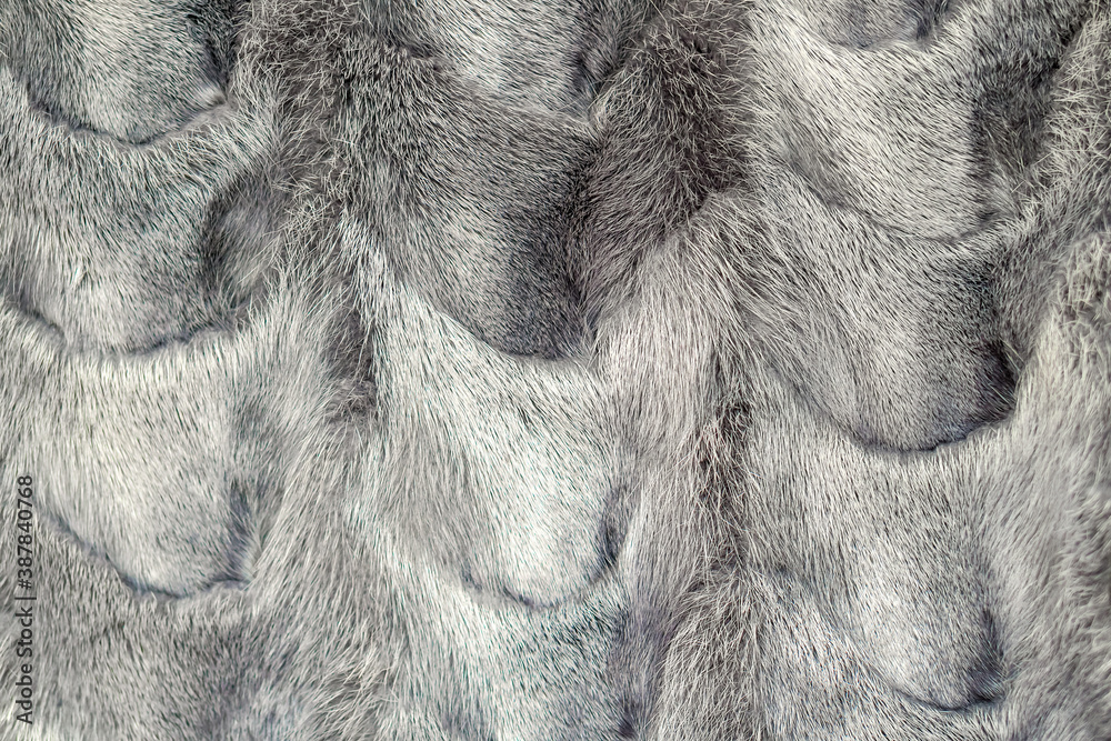 Grey mink fur pattern. Concept of production and sale of fur coats ...