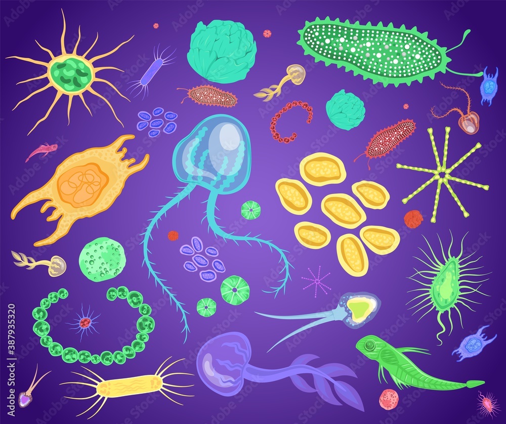 Microscopic Plankton