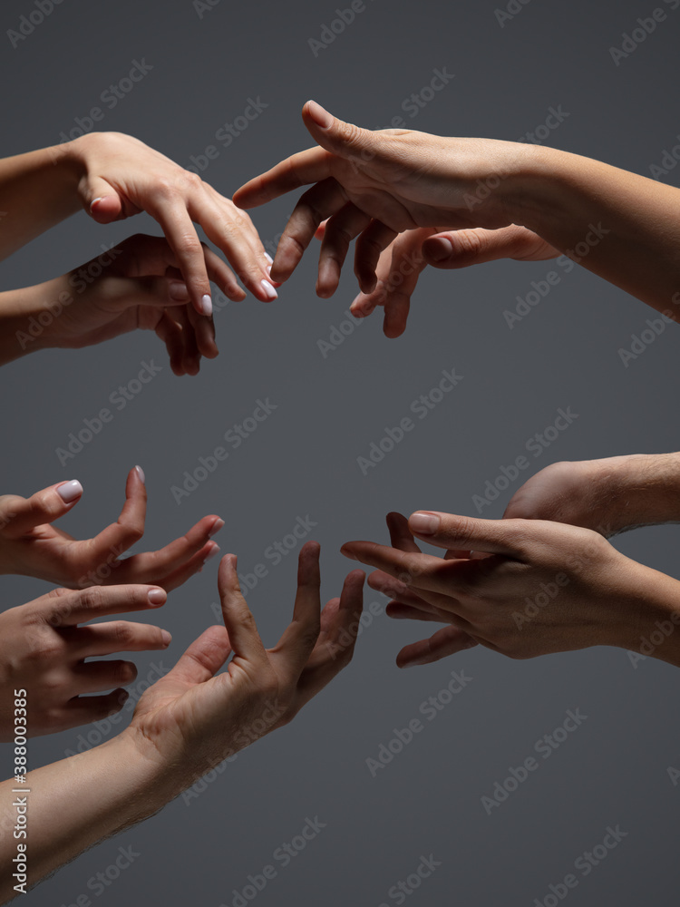 Hope. Hands of people's crows in touch isolated on grey studio ...