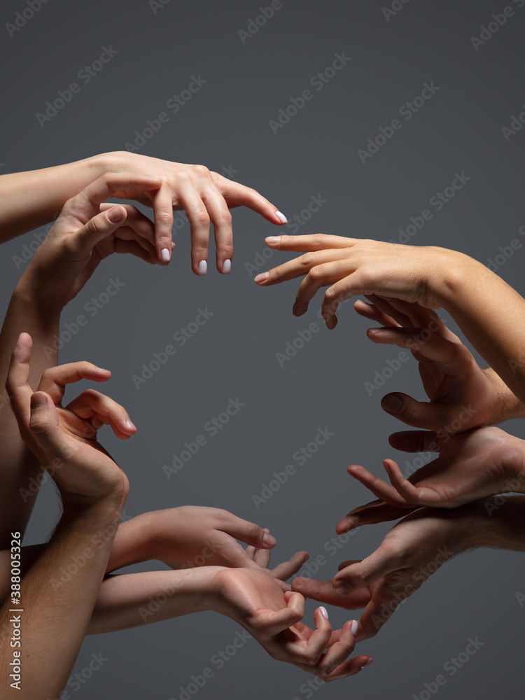Rounded. Hands of people's crows in touch isolated on grey studio ...