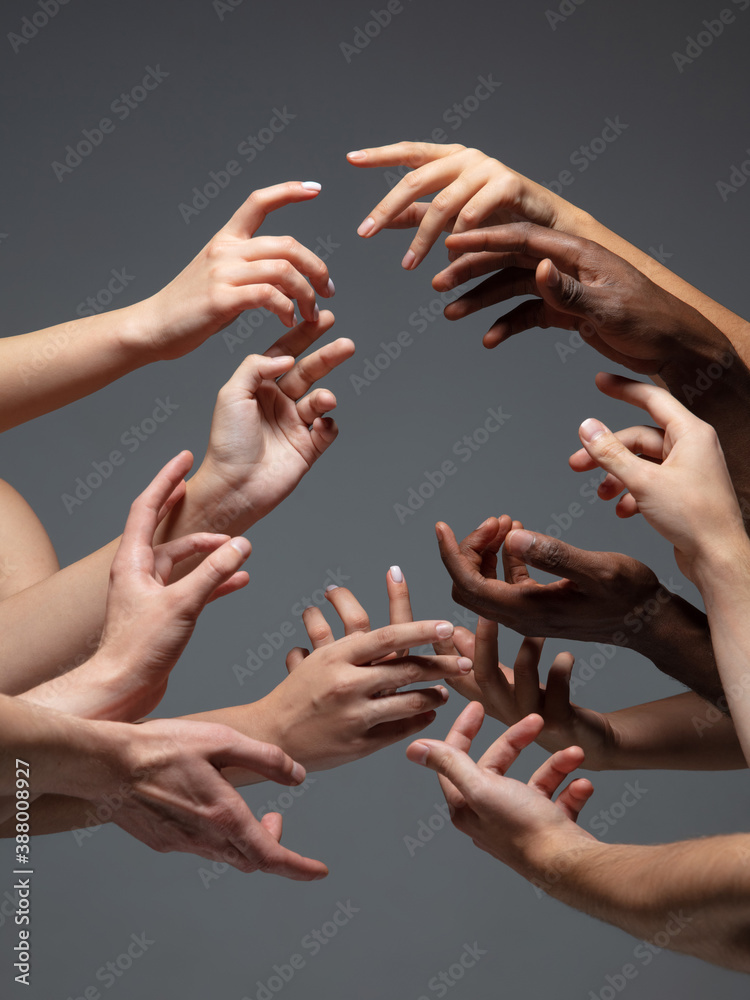 Foto de Rescuing. Hands of people's crows in touch isolated on grey ...