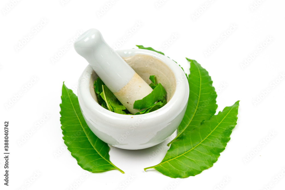 Medicinal Neem leaf in mortar and pestle white ceramic and neem leaf ...