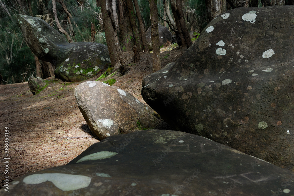 Weathered Boulders at Phallic rock Palaau State Park Molokai Stock ...