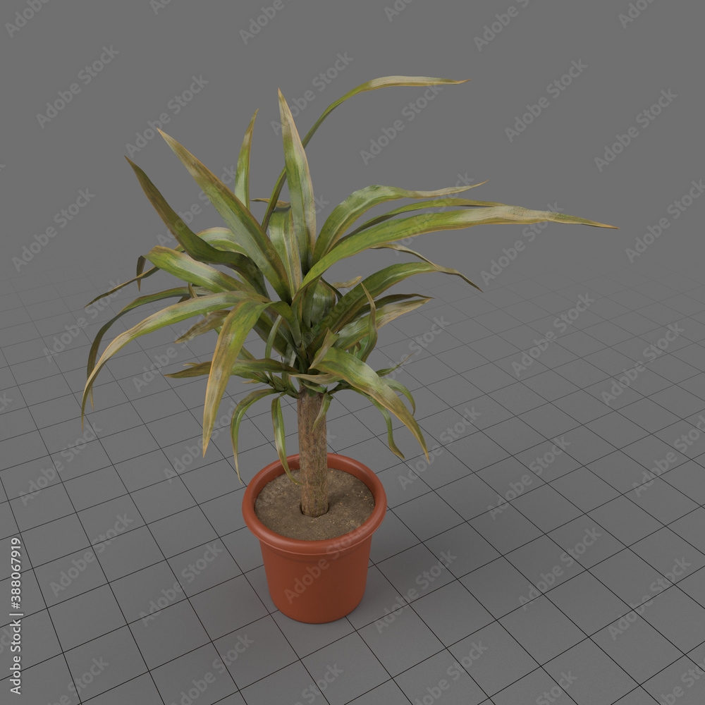 Plant in pot Stock 3D asset | Adobe Stock
